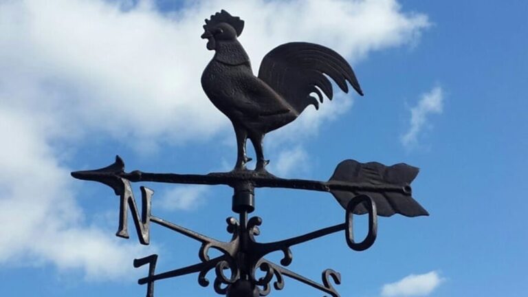 ¿Para Qué Sirve la Valeta? Descubre sus Usos y Beneficios - anabarrero ...