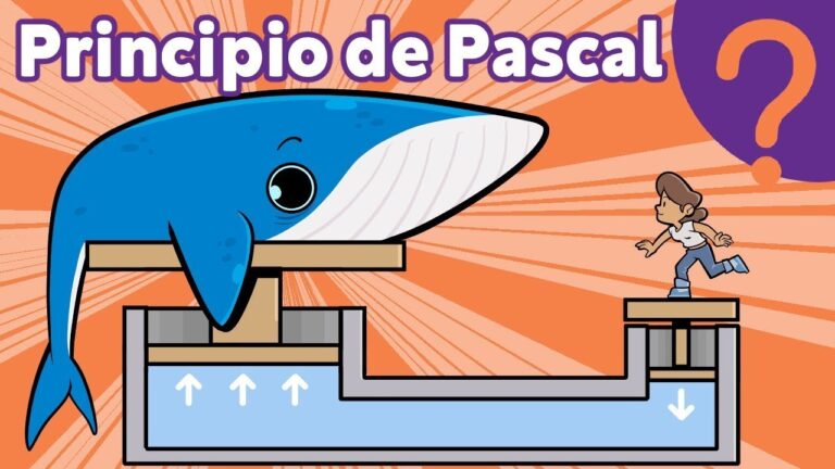 La Aplicación del Principio de Pascal: Ejemplos y Usos en la Vida Cotidiana - anabarrero.es ...